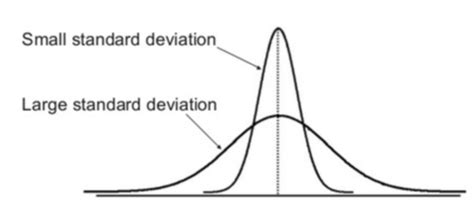 descriptive statistics flashcards quizlet