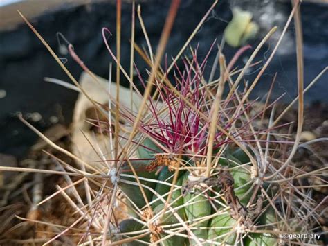 TCL Stylus G Review An Integrated Stylus Sets This Affordable Option Apart Gear Diary