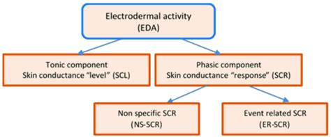 Diagram Of The Electrodermal Activity Signal Decomposition Download