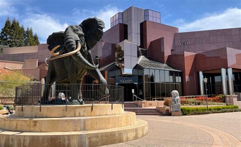 Blackhawk Museum A Hidden Gem In Danville Ca Food Wine And Travel
