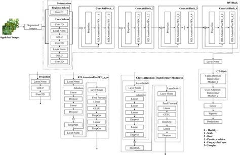 Class Attention Enabled Region Vit Carit Architecture For Leaf Download Scientific Diagram