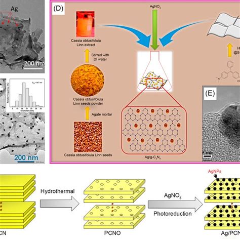 Transmission Electron Microscopy Images With Particle Size Distribution Download Scientific