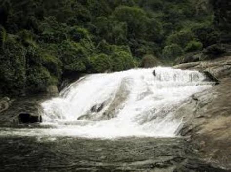 Vaidehi Waterfall Coimbatore 2021 All You Need To Know Before You