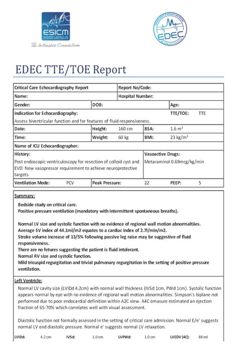Echocardiogram Report
