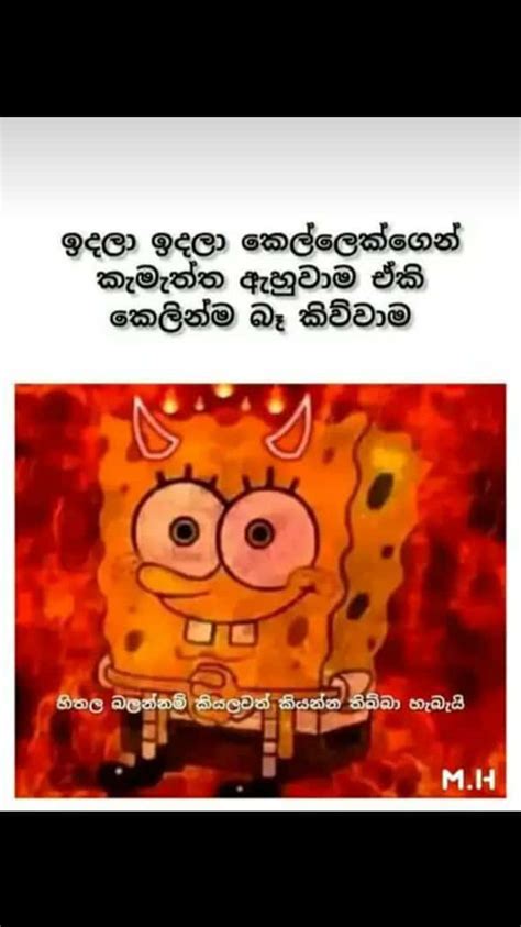 අවුලක් ඤෑ🥲 Tkasylum