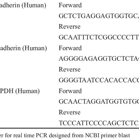 Primer Sequences Used For Real Time PCR In Vitro Study Name Of Gene Download Scientific Diagram