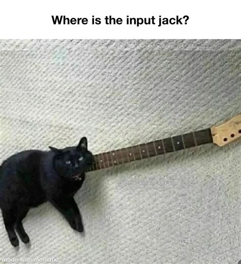 Forbidden Input Rcatmemes