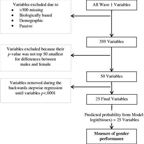 Steps To Create Measure Of Gender Performance For Wave Download Scientific Diagram