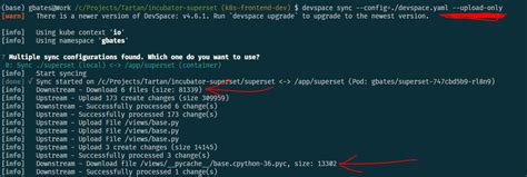 Upload Only Flag Seems To Be Ignored For Dev Sync · Issue 1004