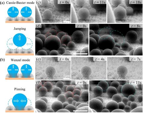 Droplet Wetting States And Dynamic Behaviors At Different Surface Download Scientific Diagram
