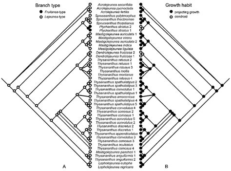 Parsimony Based Ancestral State Reconstruction Of 10 Selected