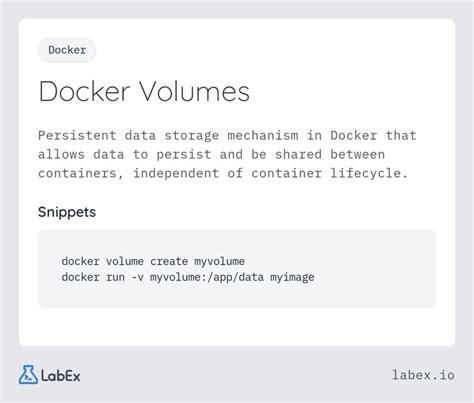 Docker Volumes Programming Flashcard Labby Labex