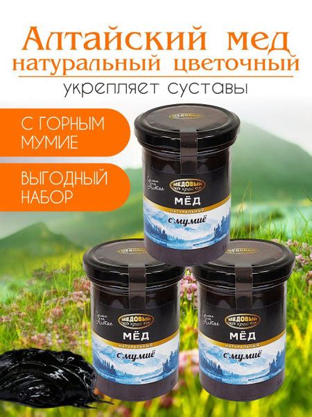 Мед с Мумие 100% натуральный 300гр, набор 3 шт. 2024 купить на OZON по ...