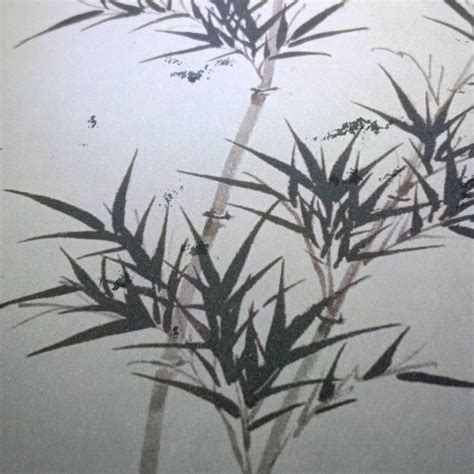 重庆市高级人民法院对张波，叶诚尘故意杀人宣判后的看法上诉张某甲张某乙