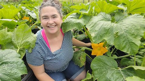 Garden Sex Ed 101 How To Hand Pollinate Squash Zucchini And Cucumbers For A Huge Harvest