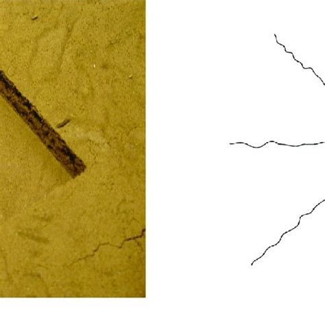 Pdf Modeling The Stress Versus Settlement Behavior Of Shallow Foundations In Unsaturated