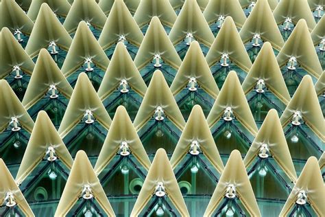 Exploring Different Types Of Holistic Health Practices Star News Tribune