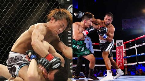 The Difference Between MMA And Boxing Ultimate Guide MMA Channel