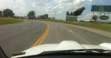 Frogger God Mode Imgur