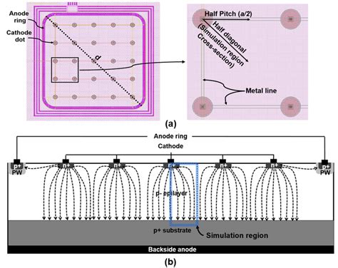 A Top View Of Layout Drawn In Cadence Of The 5 × 5 Array Md Pin Download Scientific Diagram