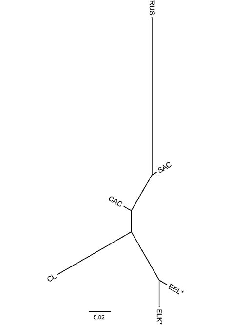 Unrooted Neighbor Joining Tree Generated Using Pairwise Genetic