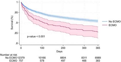 Ecmo As A Bridge To Heart Transplantation Insights Into Stratification