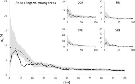 Bivariate Spatial Pattern Analysis Of Pinus Trees Considering Two Age Download Scientific