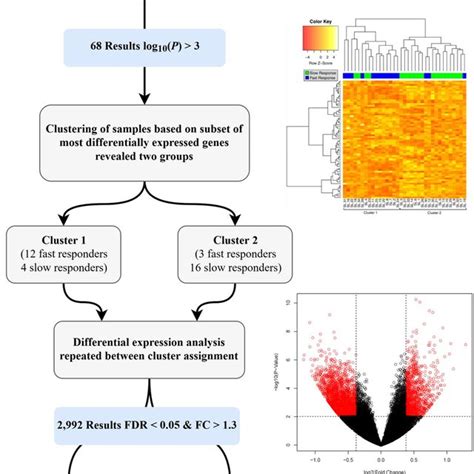 Flow Diagram Depicting Data Analysis Scheme Top Right Heatmap Download Scientific Diagram