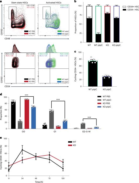 Dnmt3a Is Important For A Stem State Switch Upon Haematopoietic Download Scientific Diagram