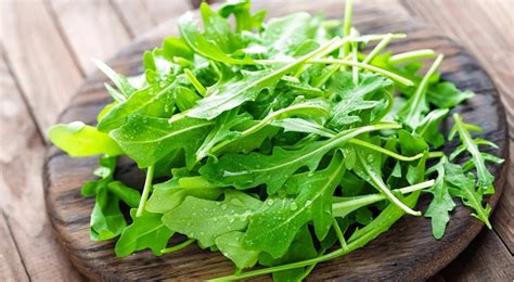 „ბიბლიური პროდუქტია რომელიც უამრავ რელიგიურ ნაწარმოებშია ნახსენები“ რა მცენარეა რუკოლა და