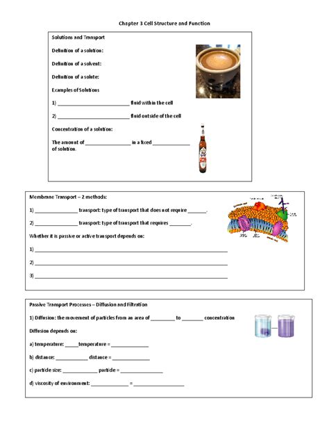 Chapter 3 Cell Structure And Function Chapter 3 Cell Structure And Function Solutions And