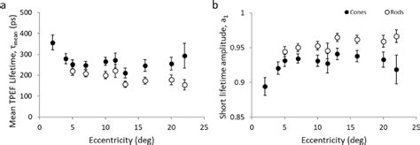 Figure 2 From Adaptive Optics Two Photon Excited Fluorescence Lifetime Imaging Ophthalmoscopy Of