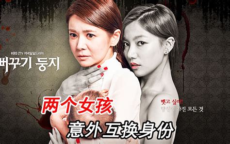 两个女孩意外互换身份享受着不同的人生高分韩剧杜鹃之巢 哔哩哔哩