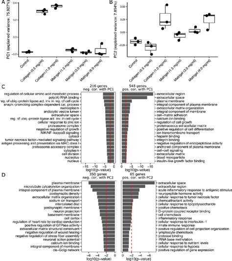 Principal Component Analysis PCA Of The RNA Seq Data Set Prepared For Download Scientific