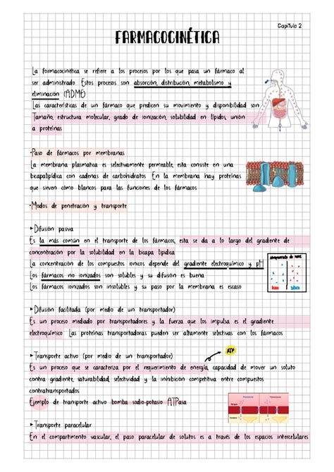 Farmacocinética Capítulo 2 Procesos Adme Y Vías De Administración