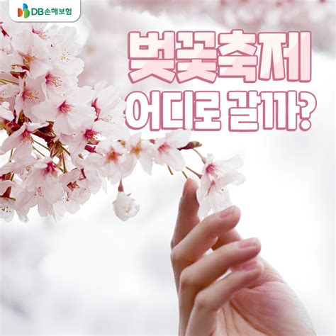 Db 손해보험 벚꽃 활짝 피는 날🌸 너와 함께 걷고 싶어😊 2019 벚꽃축제 어디로 떠나볼까