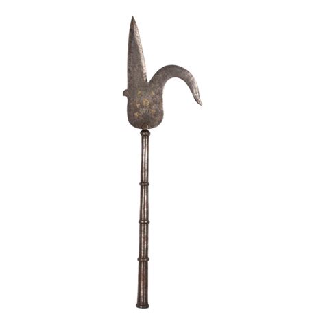 Antique Elephant Goad For Sale — Skulls Unlimited International Inc