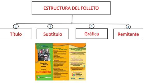 El Folleto Y Sus Partes El Folleto Informativo Definición