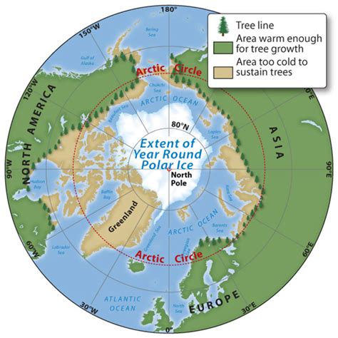 Arctic A Friend Acting Strangely