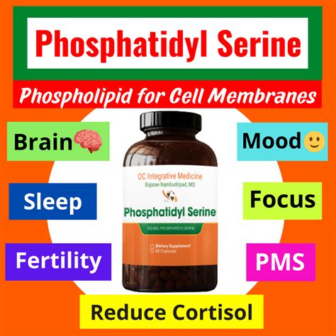 Phosphatidyl Serine Supplements By Dr Rajsree