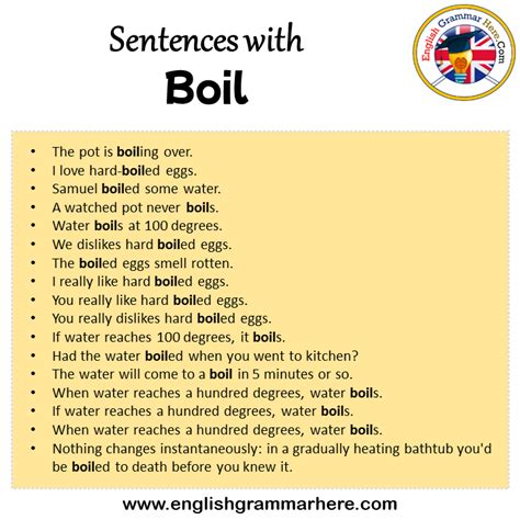 Sentences With Terminal Terminal In A Sentence In English Sentences