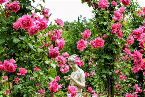 Statue Rosen Garten Kostenloses Foto Auf Pixabay Pixabay