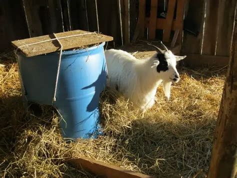 25 Diy Goat Hay Feeder Plans You Can Build Today Handy Keen