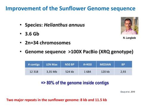 Toward A Better Understanding Of Plant Genome Structure Combining Ngs