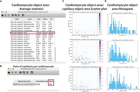 cell press star protocols