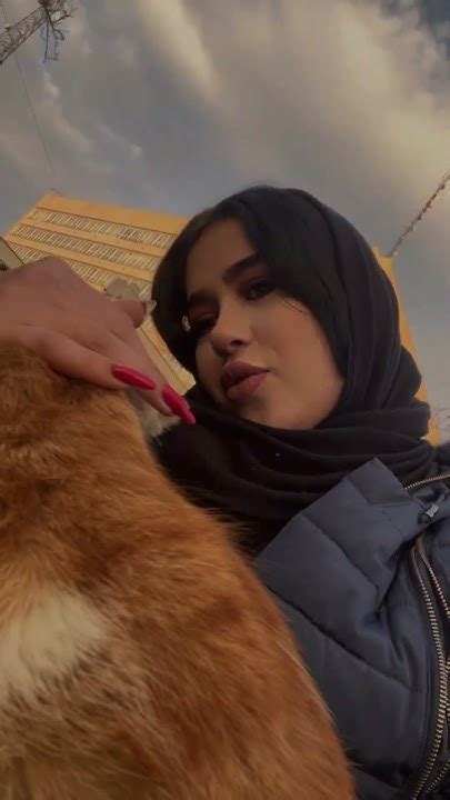 اخ قربون قیافت😍کشتی منوووو🤪😭 حمایتازحیوانات سگ گربه گربهخانگی