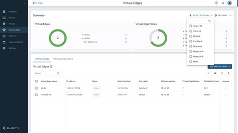 managing virtual edges and virtual edge nodes elisity