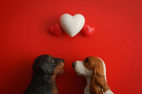 몇 개는 빨간색 바탕에 사랑에 빠지는 앉는 다 해피 발렌타인 데이 배경입니다 축 하 발렌타인 데이에 사용할 수 있습니다 귀여운에 대한 스톡 사진 및 기타 이미지 Istock