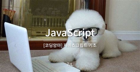 Til 240131 Javascript 코딩앙마 왕 초보 자바스크립트