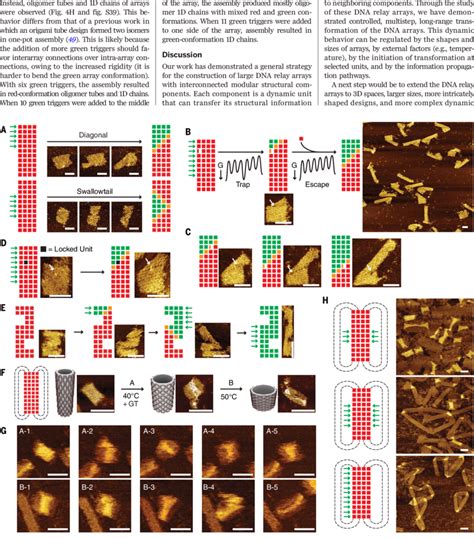 Controlled Transformation Of Dna Origami Relay Arrays A Control Of